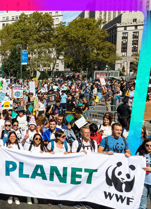 Adapt Media – 23 years and counting